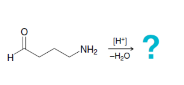 Solved NH2 H2O -H20 | Chegg.com