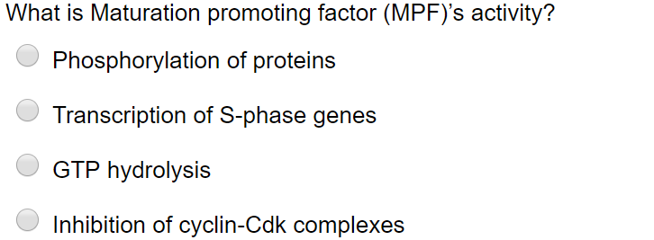 Solved What is Maturation promoting factor (MPF)'s activity? | Chegg.com