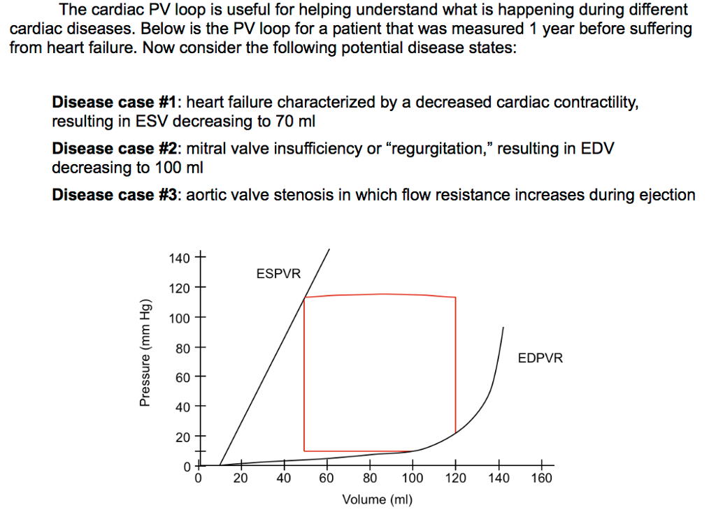 Solved The Cardiac Pv Loop Is Useful For Helping Understand