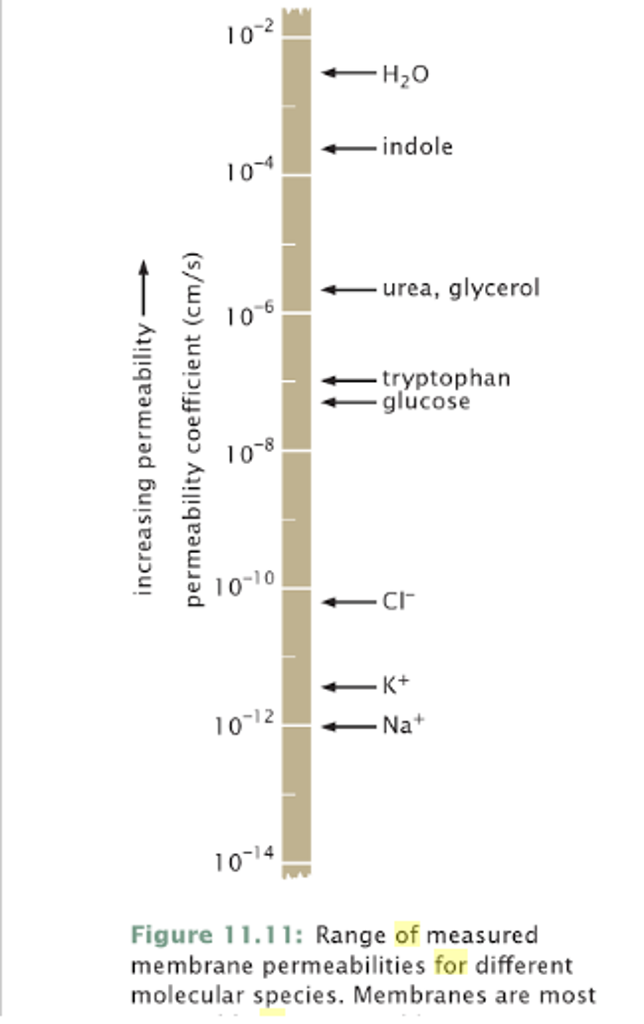 Solved Figure 11.11: Range of measured membrane | Chegg.com