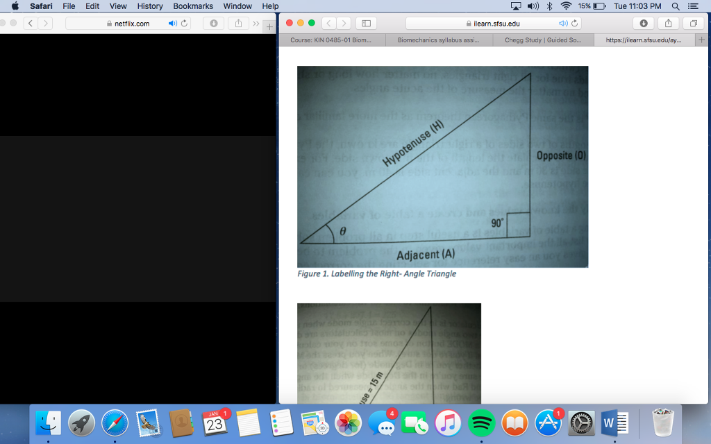 Solved the first picture of the triangle is asking label the | Chegg.com