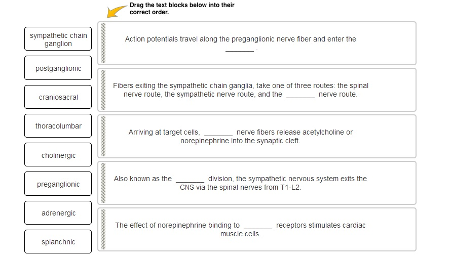 Solved Complete each sentence by dragging each word or | Chegg.com Solved Complete each sentence by dragging each word or | Chegg.com