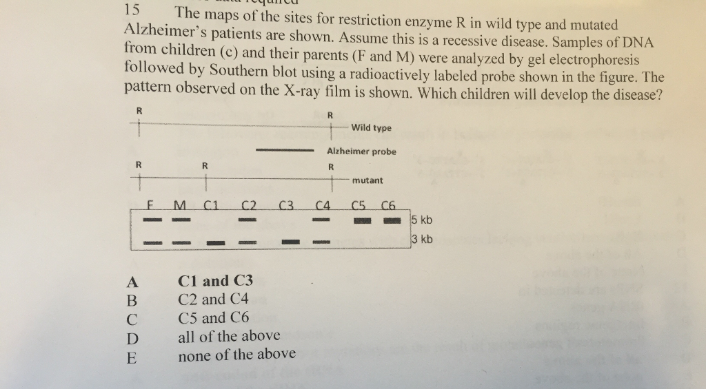 Solved The maps of the sites for restriction enzyme R in | Chegg.com