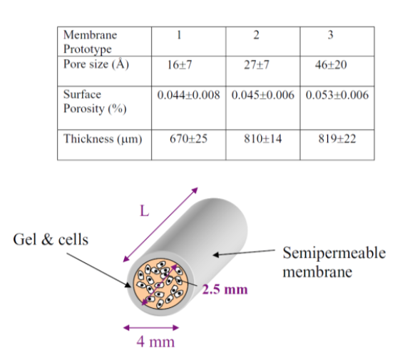 Solved For a certain gene therapy with cell encapsulation, | Chegg.com