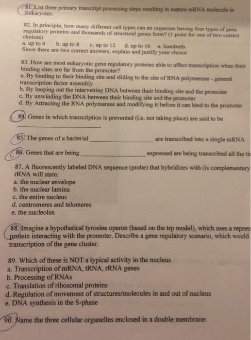 Solved List three primary transcript processing steps | Chegg.com