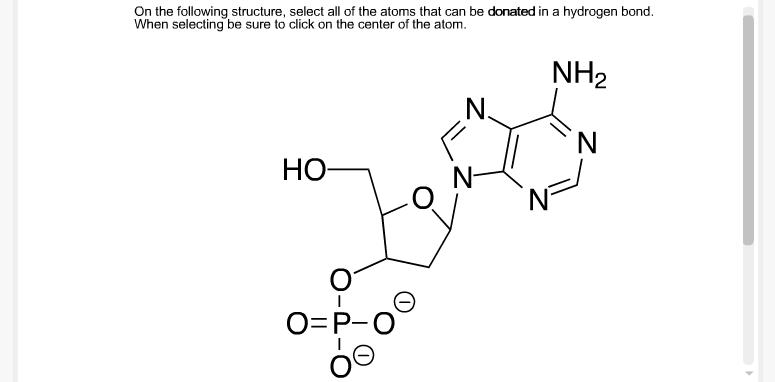 Solved On The Following Structure Select All Of He Atoms