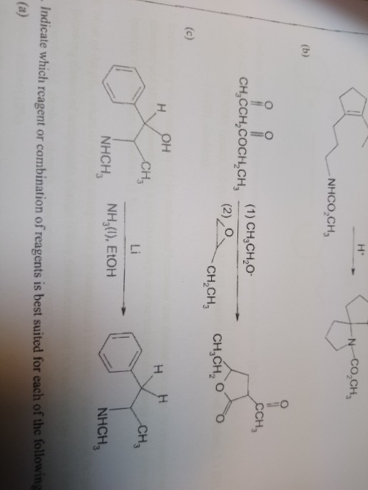 Solved H' NCO,CH NHCO,CH3 CH2 (1) CH CH2o (2)o CH2CH, CHCH, | Chegg.com