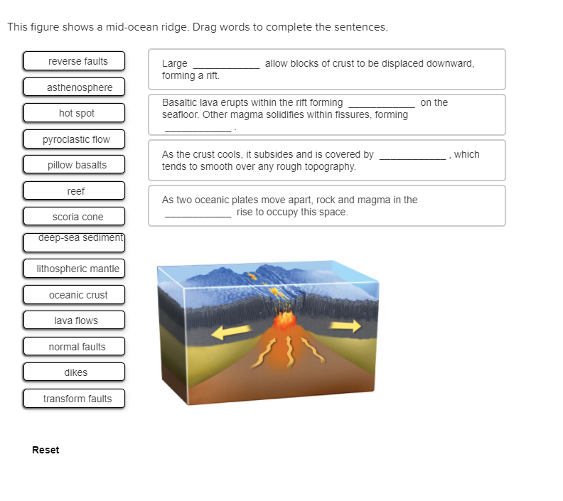 Solved This figure shows a mid-ocean ridge. Drag words to | Chegg.com