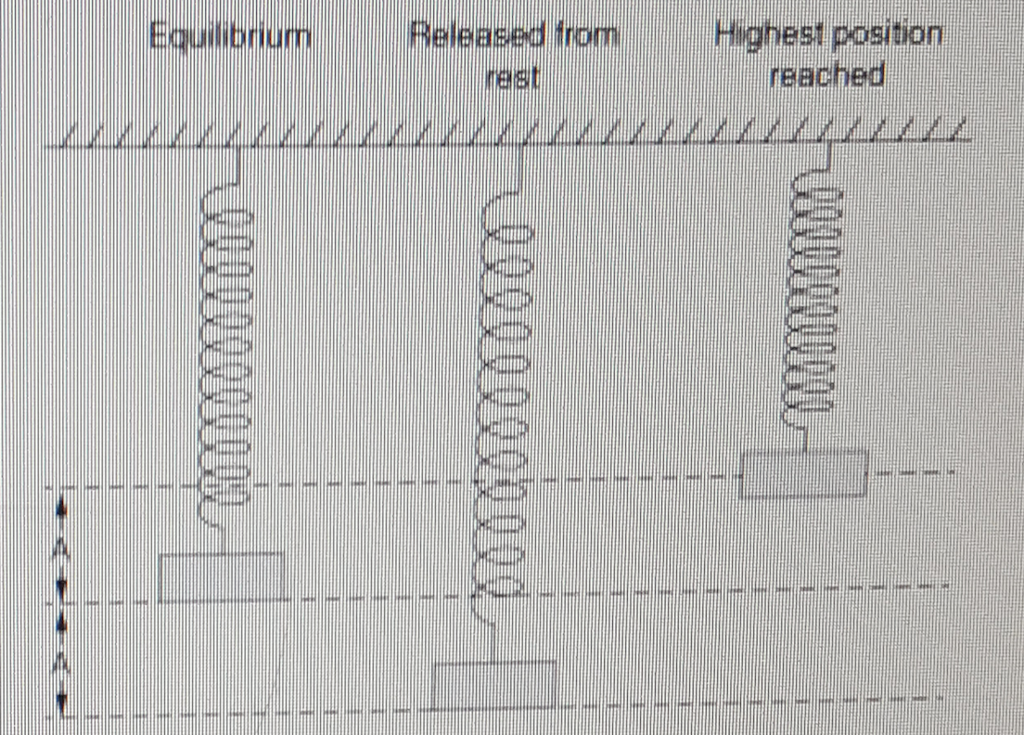 Solved A block is attached to a vertical spring. The block | Chegg.com