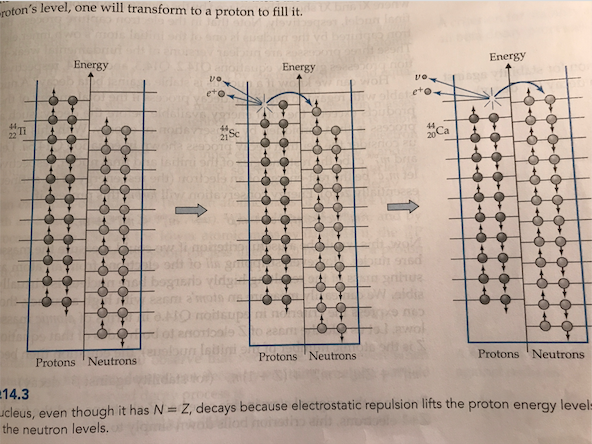 Solved In figure Q14.3, the proton energy levels were drawn | Chegg.com