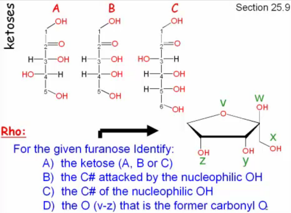 Beta Furanose