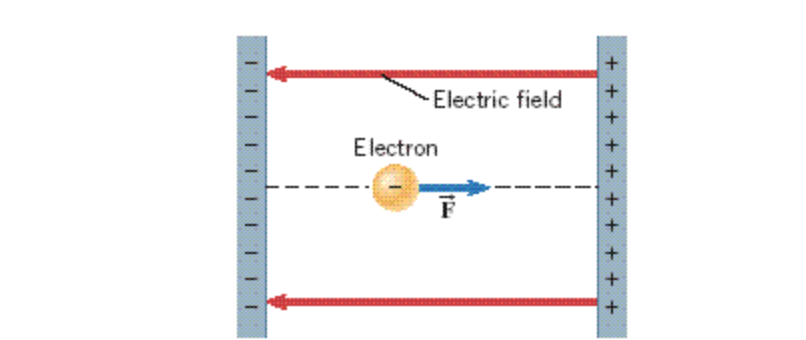Solved An electron is released from rest at the negative | Chegg.com