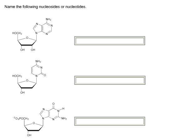Solved Name the following nucleosides or nucleotides | Chegg.com