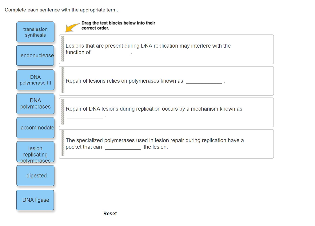 Solved Complete each sentence with the appropriate term. | Chegg.com