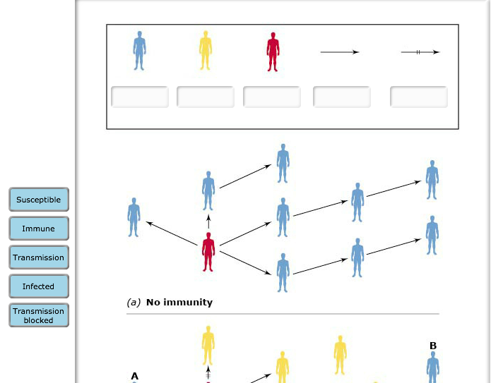 Solved Herd immunity occurs when there are too few | Chegg.com