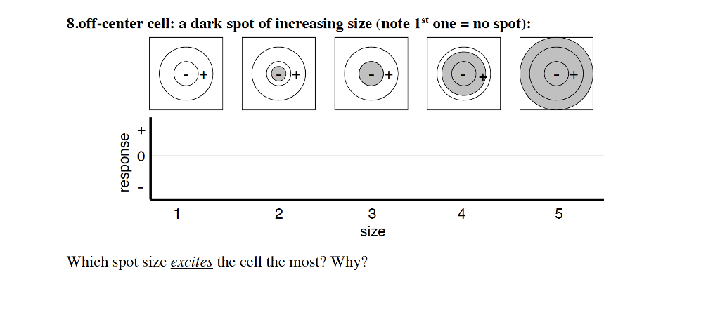 2.on-center cell – dark/light edge at different | Chegg.com