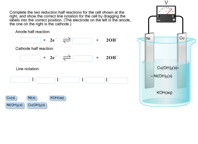 Solved Complete the two reduction half reactions for the | Chegg.com