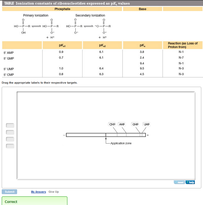 TABLE Ionization constants of ribonucleotides | Chegg.com