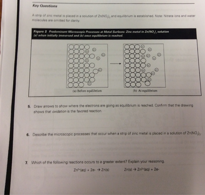 Solved A strip of zinc metal is placed in solution of | Chegg.com
