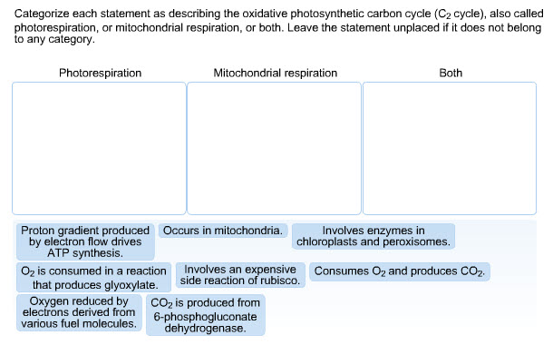 Solved Categorize each statement as describing the oxidative | Chegg.com