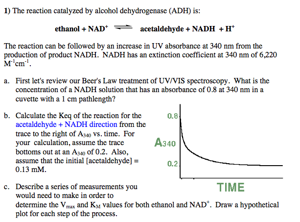 The reaction catalyzed by alcohol dehydrogenase (ADH) | Chegg.com
