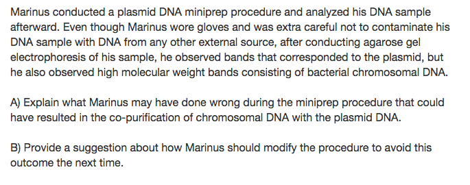 Solved Marinus conducted a plasmid DNA miniprep procedure | Chegg.com