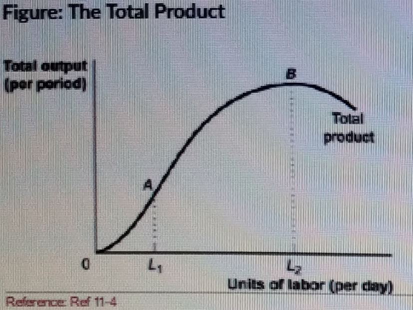 Solved 1) (Figure: The Total Product) Look at the figure | Chegg.com