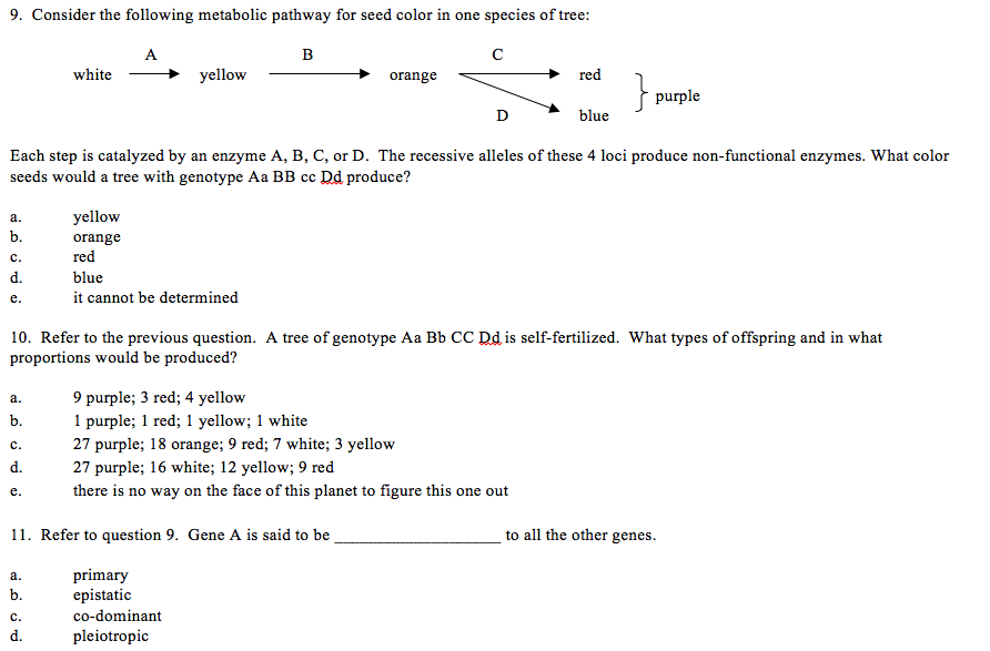 Solved Consider the following metabolic pathway for seed | Chegg.com