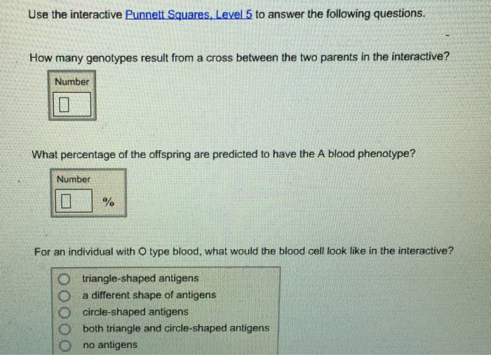 Use the interactive Punnett Squares, Level 5 to | Chegg.com
