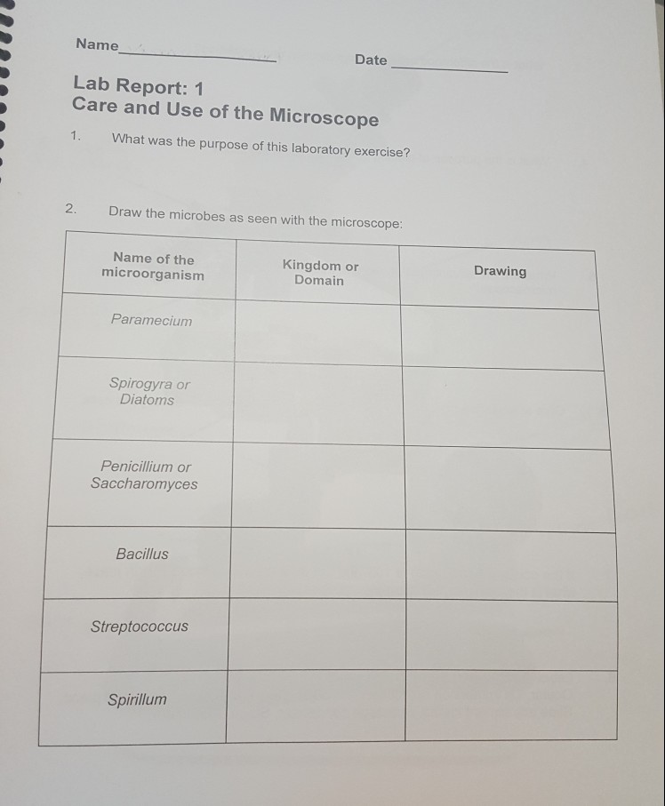 Solved Name Date Lab Report: 1 Care and Use of the | Chegg.com Solved Name Date Lab Report: 1 Care and Use of the | Chegg.com