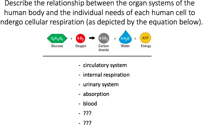Solved Describe the relationship between the organ systems | Chegg.com