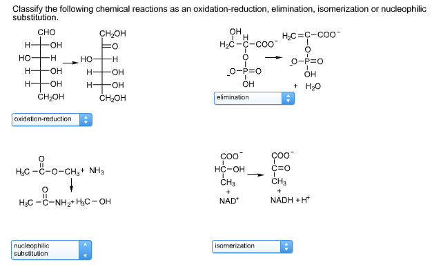 Solved Classify the following chemical reactions as an | Chegg.com
