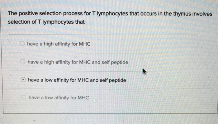 Solved The positive selection process for T lymphocytes that | Chegg.com
