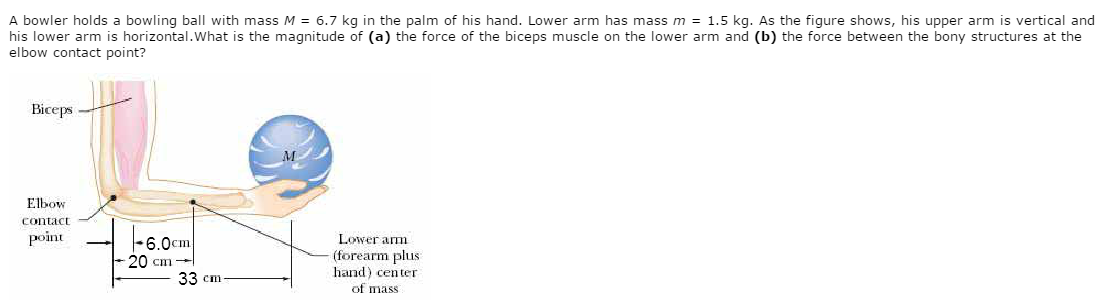Solved A bowler holds a bowling ball with mass M = 6.7 kg in | Chegg.com Solved A bowler holds a bowling ball with mass M = 6.7 kg in | Chegg.com