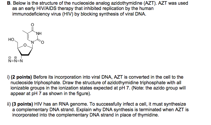 Solved B. Below is the structure of the nucleoside analog | Chegg.com