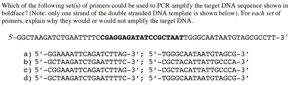Solved Which of the following set(s) of primers could be | Chegg.com