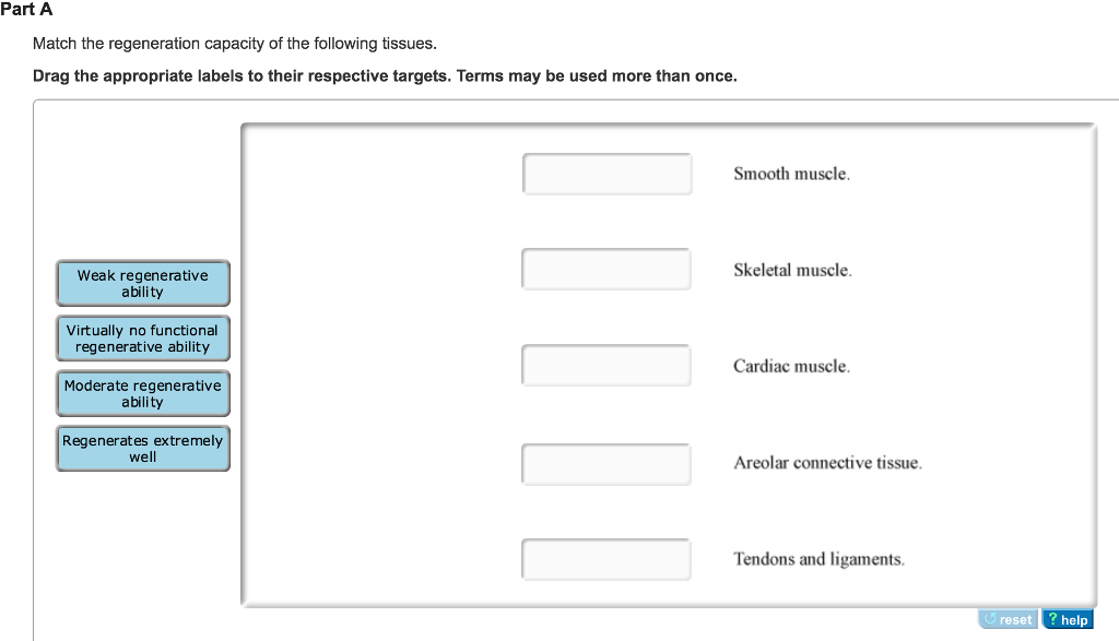 Solved Match the regeneration capacity of the following | Chegg.com