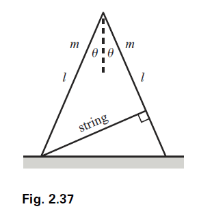 Solved Two sticks, each of mass m and length l, are | Chegg.com