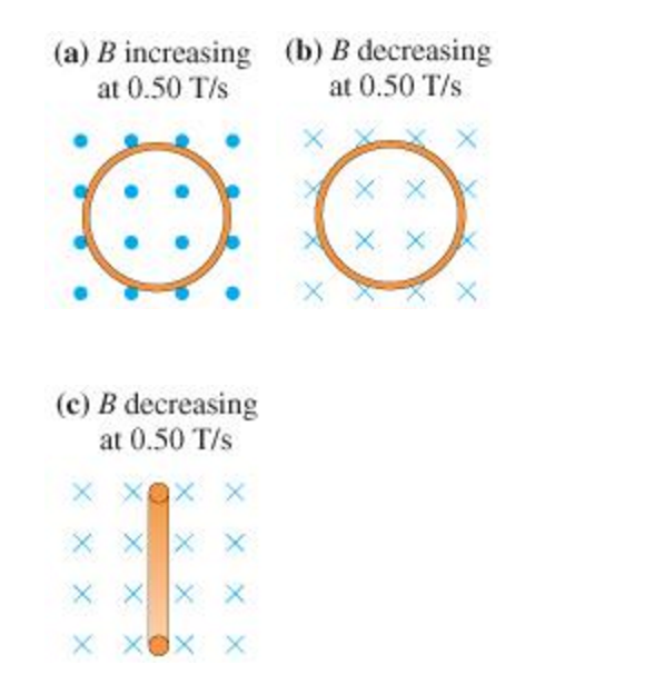 Solved The figure shows a 25-cm-diameter loop in three | Chegg.com