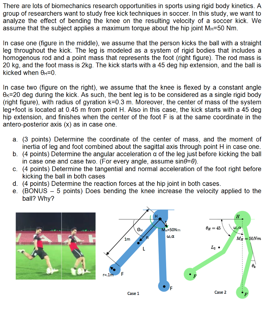 Solved There are lots of biomechanics research opportunities | Chegg.com
