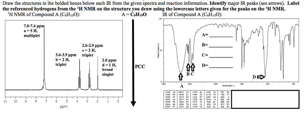 Solved Draw the structures in the bolded boxes below each IR | Chegg.com