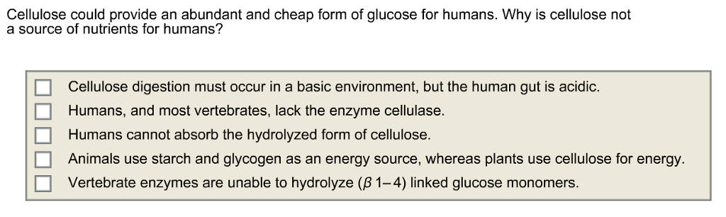 Why Can T Cellulose Be Digested By Humans - Hasma