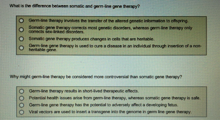 Solved What Is E Difference Between Somatic And Germ Line 0192