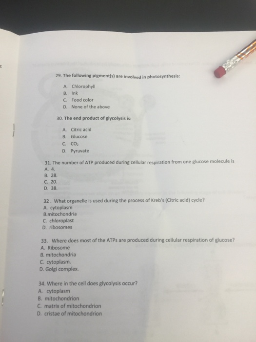 Solved The following pigment(s) are involved in | Chegg.com