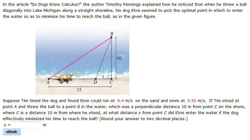 Solved In the article "Do Dogs Know Calculus?" the author | Chegg.com