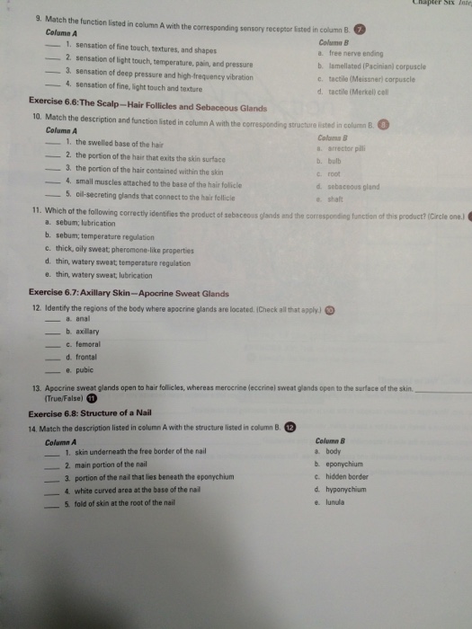 Solved Match the function listed in column A with the | Chegg.com