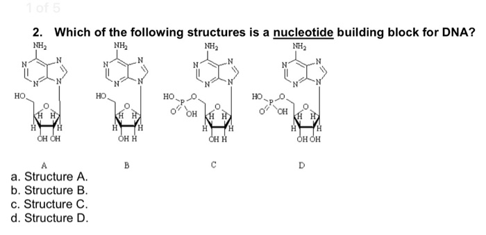 Solved Which of the following structures is a nucleotide | Chegg.com