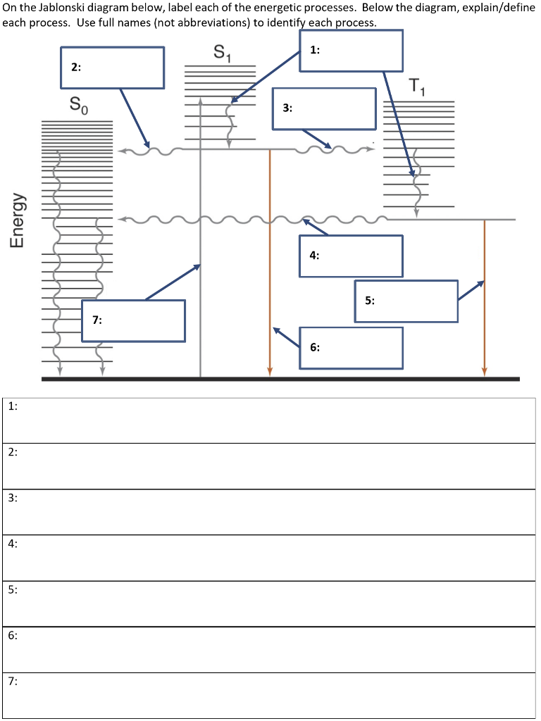 Solved On the Jablonski diagram below, label each of the | Chegg.com