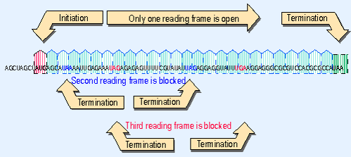 Solved Can someone please explain what this picture means in | Chegg.com