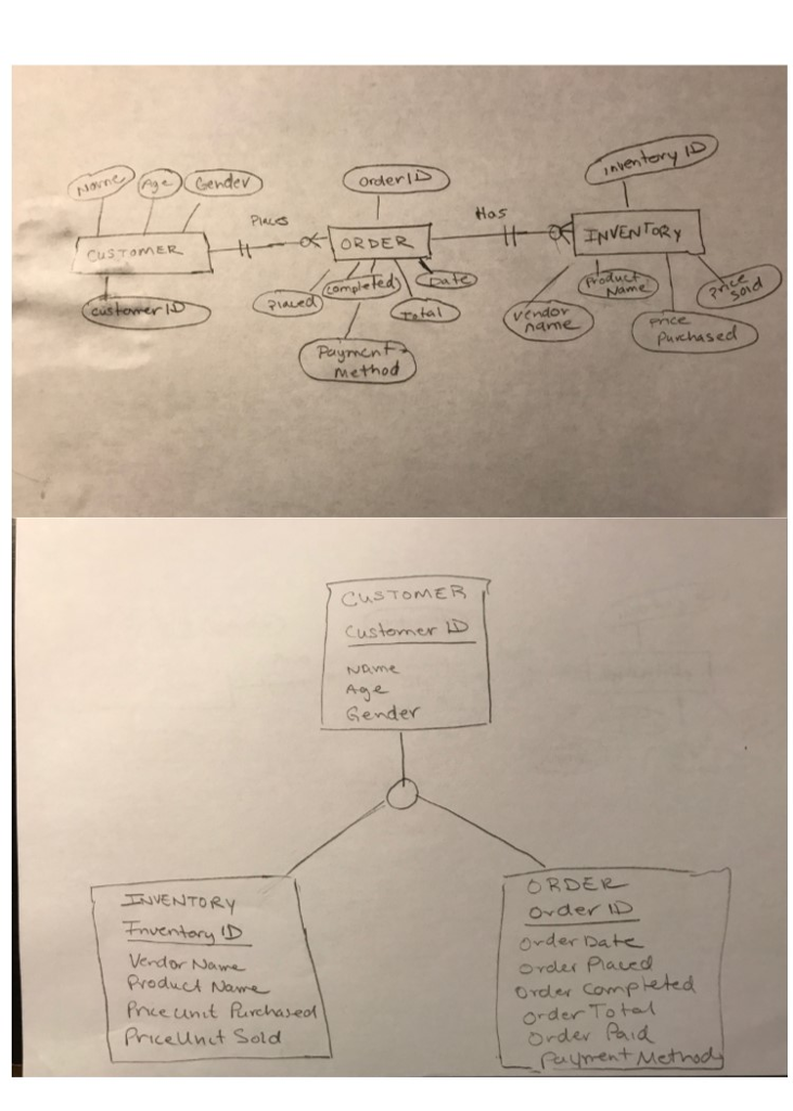 Solved identify a primary (key) attribute (field) for each | Chegg.com